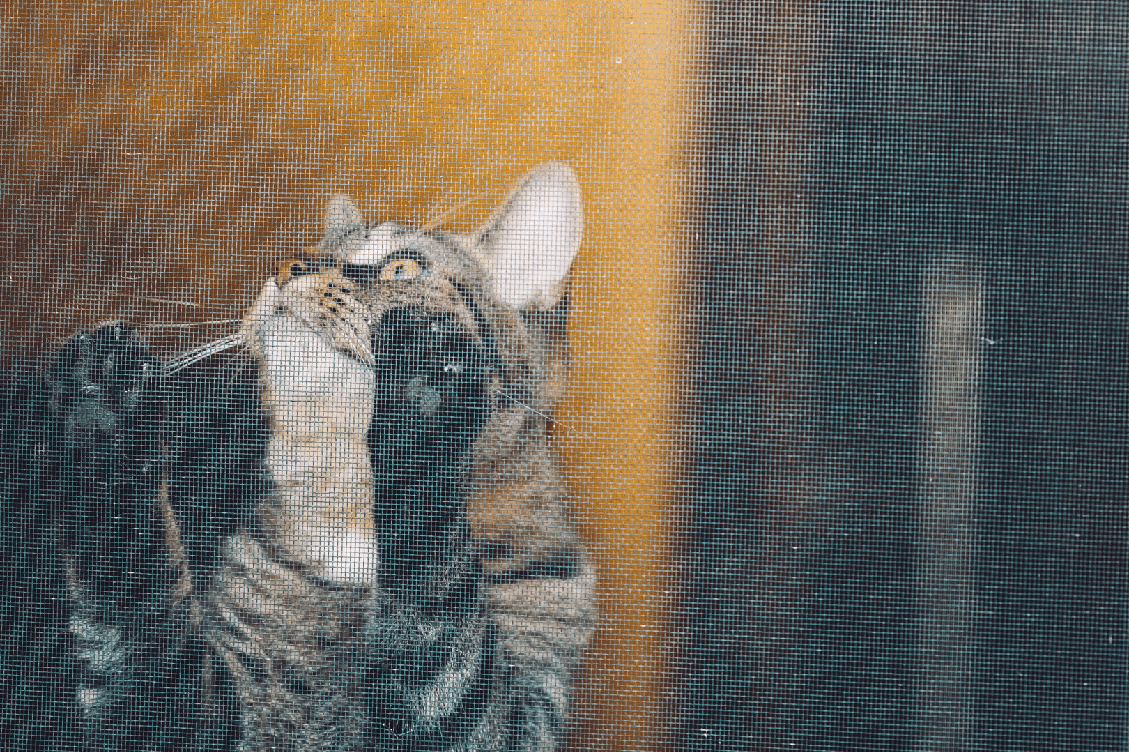 Retractable Window Screen | Screen Savers Plus